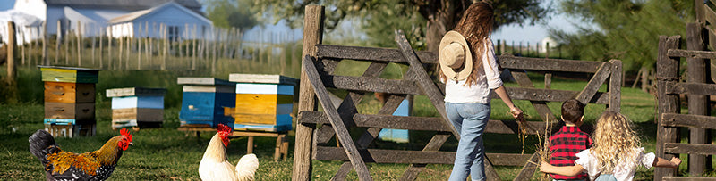 Best Sellers: Poultry Nesting Boxes & Beekeeping Tools | Top Farm ...