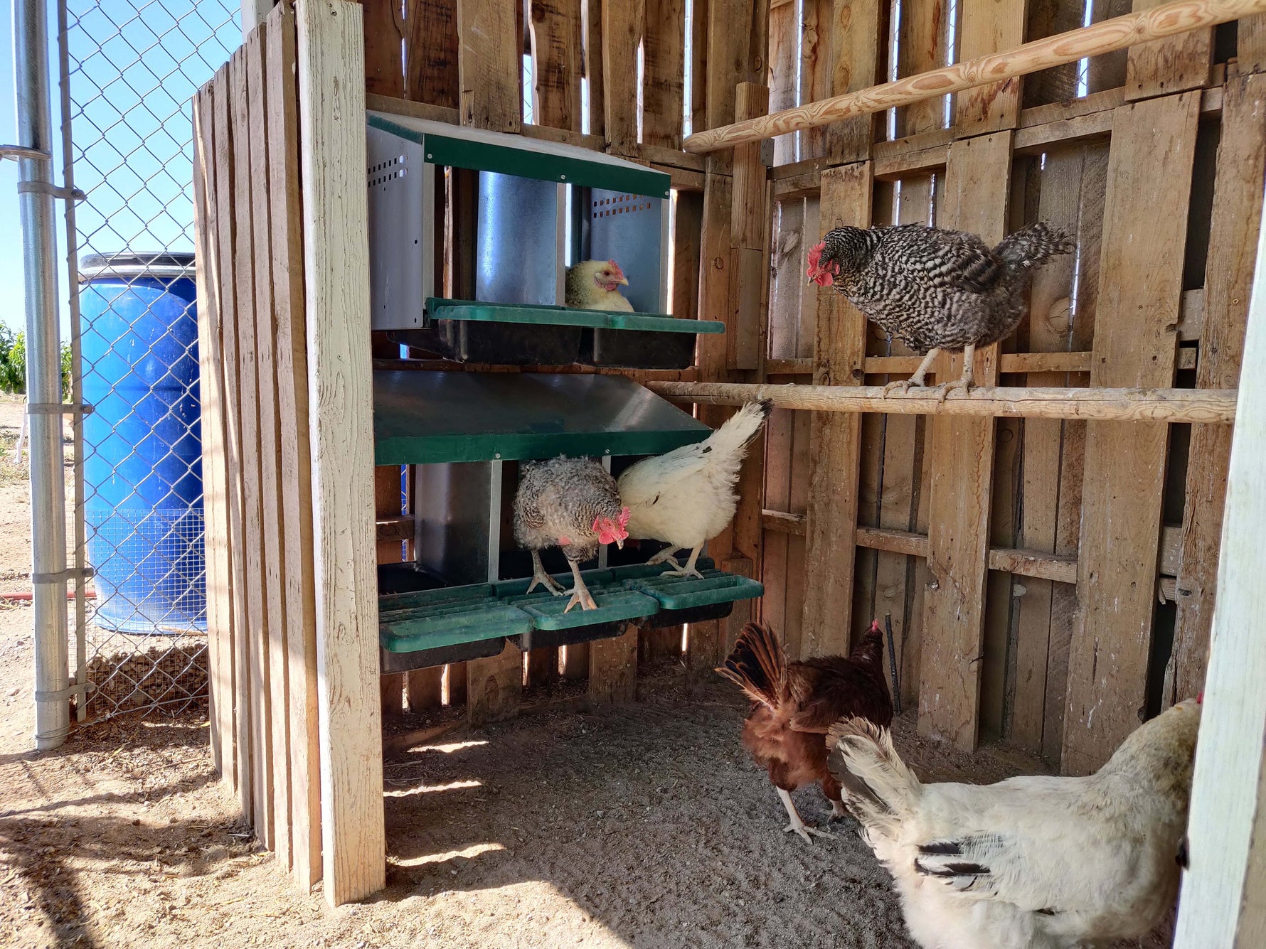 Homestead Essentials